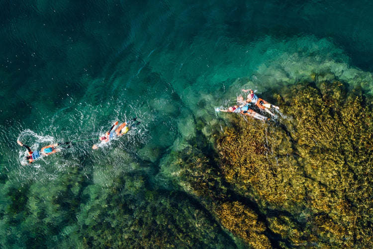 The Taster 18km SwimRun Auckland Amphibian